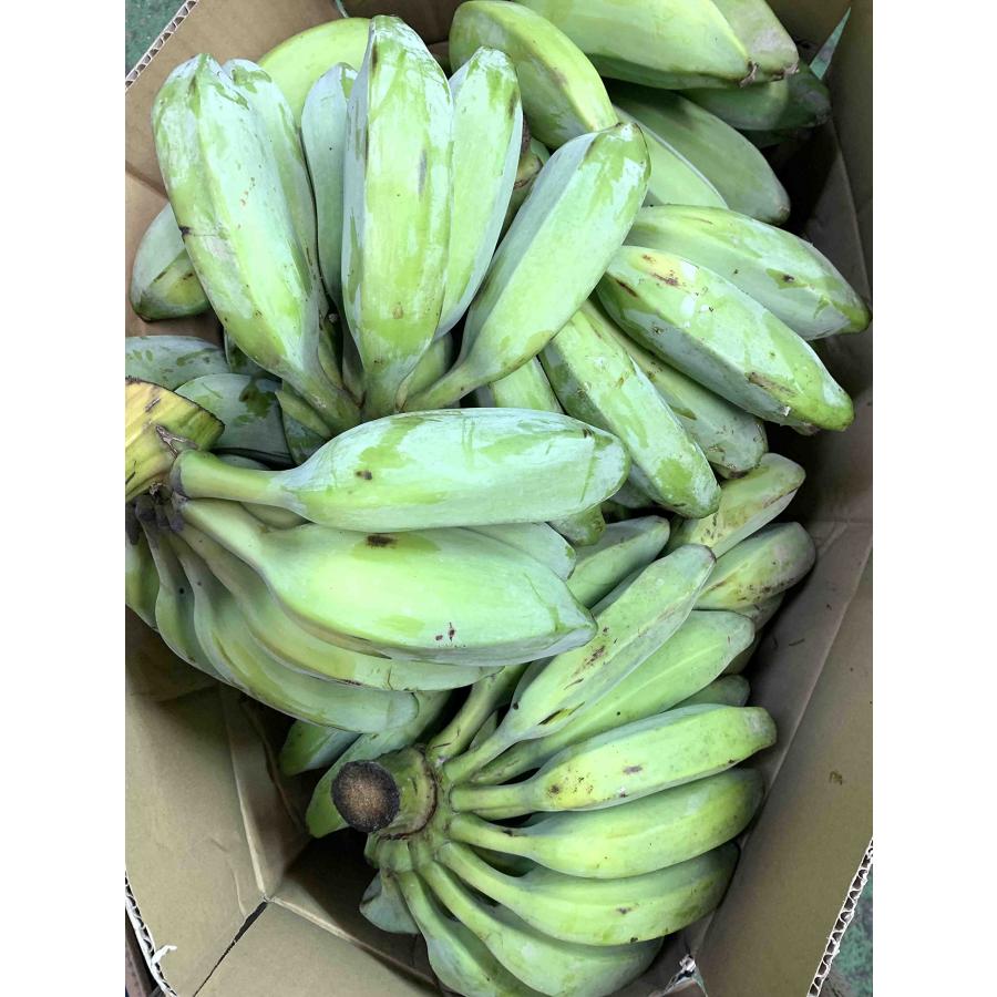 沖縄県産のお任せバナナ約4kg バナナ : エレフショップ - 通販 - Yahoo!ショッピング