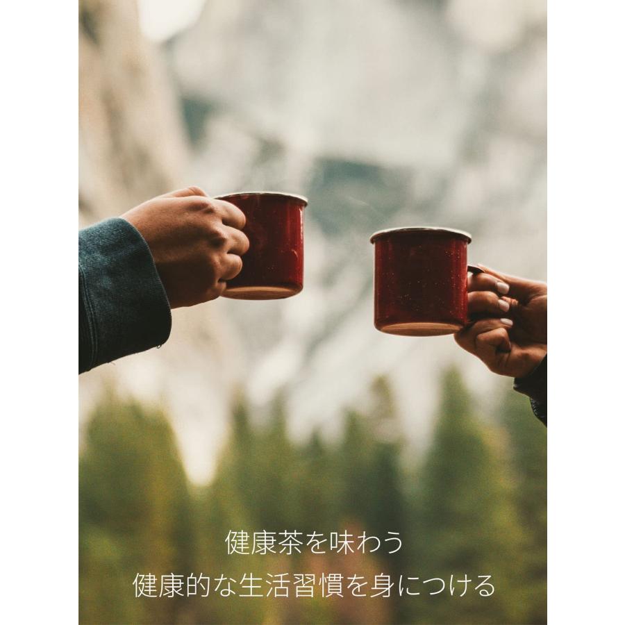 楽哉 有機 カフェインレス 緑茶 ティーバッグ ノンカフェイン デカフェ オーガニック パック （2g×100P） 煮出し・水出し両用 有機JA : エレフショップ - 通販 - Yahoo ...