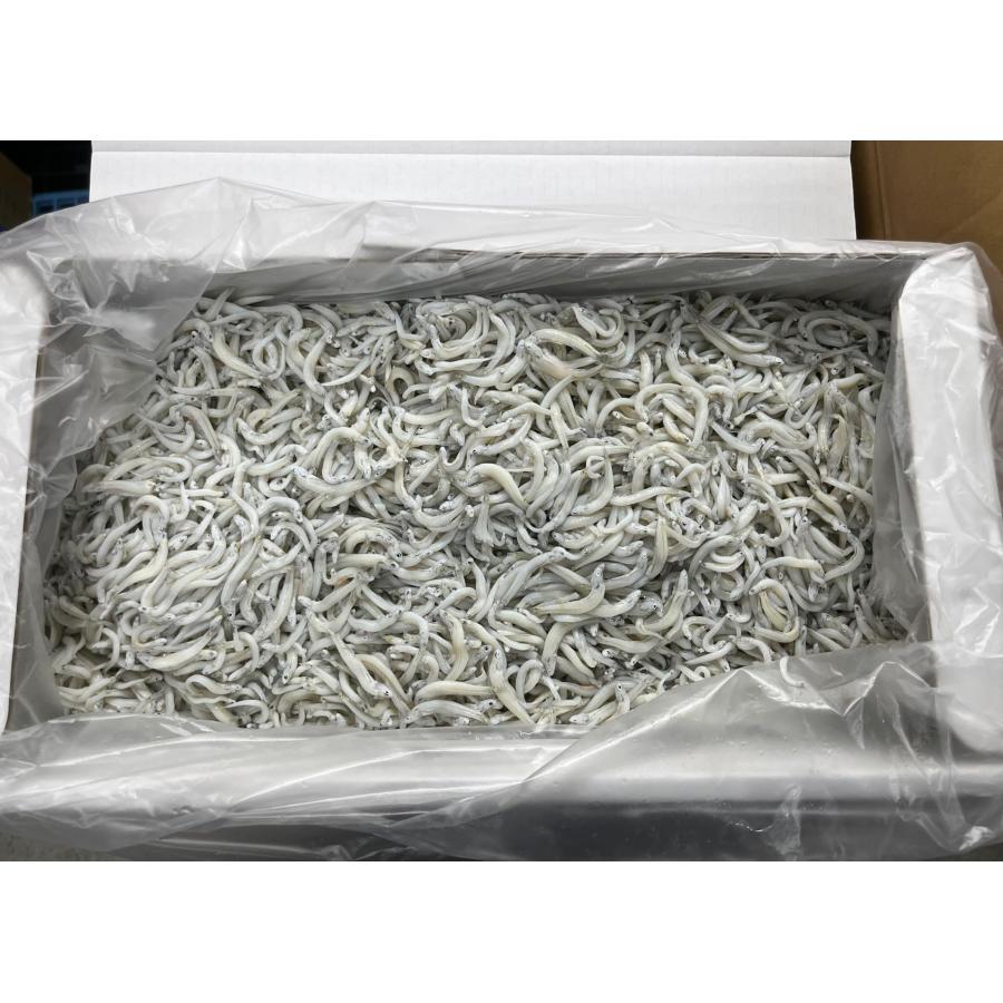 新物 国産 かまあげしらす 2kg 中サイズ 京都食彩市場 : エレフショップ - 通販 - Yahoo!ショッピング