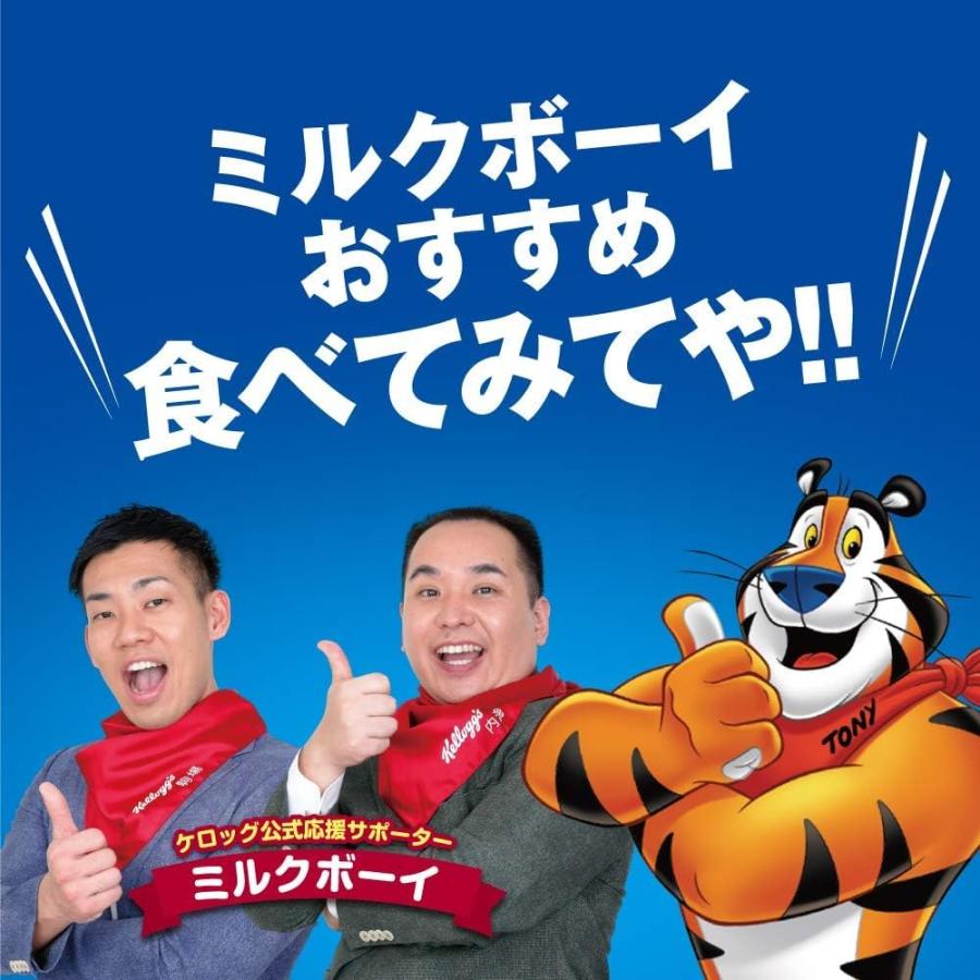 ケロッグ コーンフロスティ 業務用 徳用袋 395g 2袋 : エレフショップ - 通販 - Yahoo!ショッピング