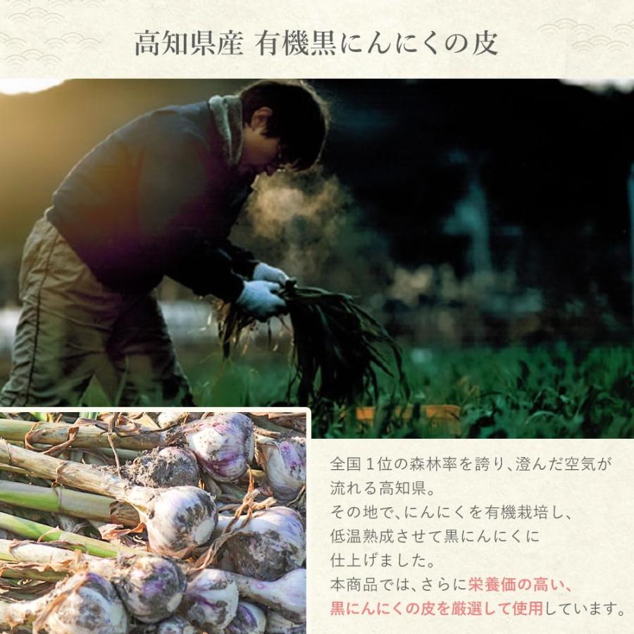 【高知県産黒にんにく使用】ogaland にんにく塩麹 50g 無添加 粉末 パウダー にんにく麹 皮 塩こうじ : エレフショップ - 通販 - Yahoo!ショッピング