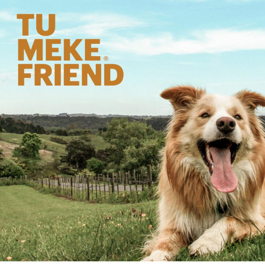 TU MEKE FRIEND エアドライドッグフード ビーフサーモンサバ 500g ドッグフード エアドライドッグフード サーフ＆ターフドッグ ...