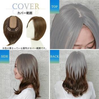プリシラ プレミアム白髪かくしウィッグ ワンレンロングタイプ ダーク