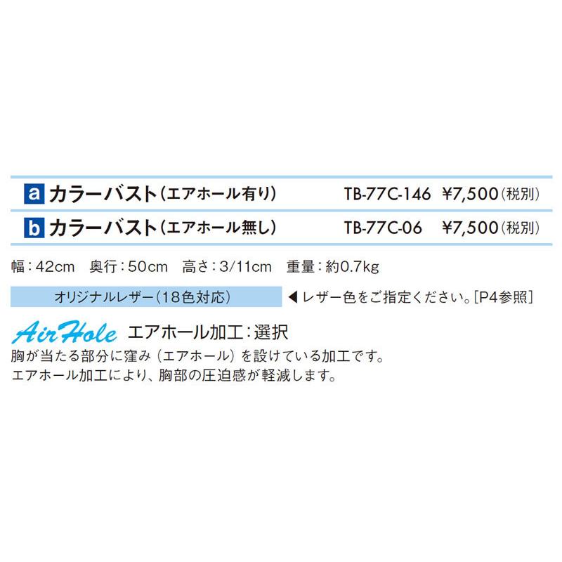 業務用・法人様限定 高田ベッド カラーバスト（エアホール有り） TB-77c-146 愛され続ける定番バストマット うつ伏せマクラ 胸当てまくら 治療用枕 :a001-0797-tb-77c ...