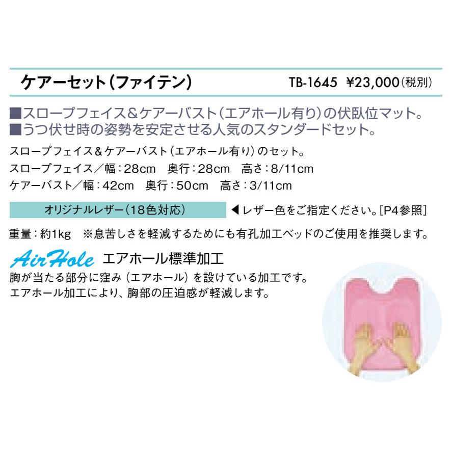 高田ベッド製作所 高田ベッド ケアーセット（ファイテン） TB-1645 内部にアクアチタン生地採用 うつ伏せマクラ 胸当てまくら 治療用枕 顔マクラ フェイスマット : エンバシー 高田 ...