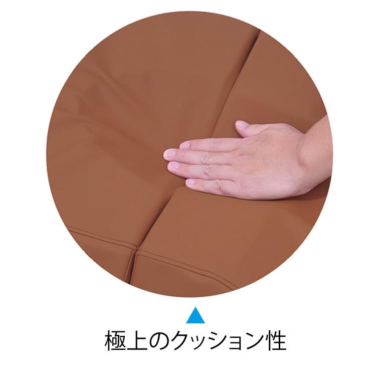 高田ベッド ボディマットD1 TB-1663-01 重点機能だけをシンプルに構成した3種類の極上サポートクッション ボディクッション : a001-2577-tb-1663-01 ...