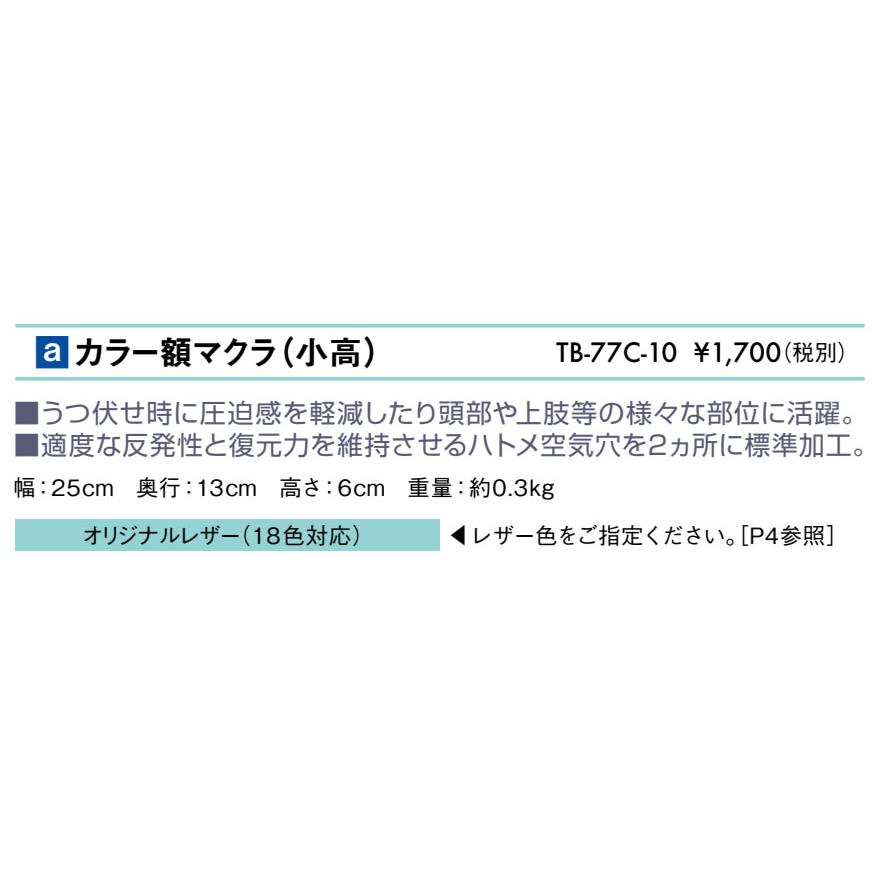 高田ベッド製作所 高田ベッド カラー額マクラ（小高） TB-77c-10 売れ続ける定番治療用まくら 医療用枕 : エンバシー 高田ベッド正規特約店 - 通販 - Yahoo!ショッピング