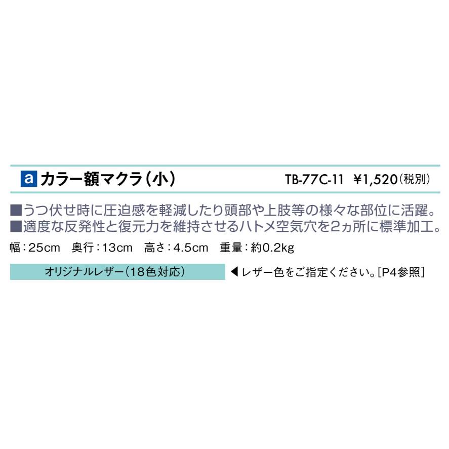 高田ベッド製作所 高田ベッド カラー額マクラ（小） TB-77c-11 売れ続ける定番 医療用 治療用まくら 診察用枕 : エンバシー 高田ベッド正規特約店 - 通販 - Yahoo!ショッピング