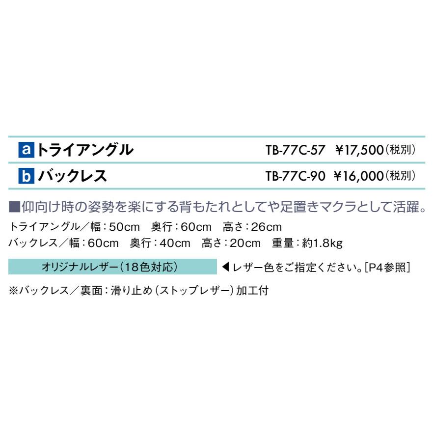 高田ベッド トライアングル TB-77c-57 多目的に使える三角ブロック 背もたれクッション 足上げ 補助 治療用 : tb-77c-57 : エンバシー 高田ベッド正規特約店 - 通販 ...