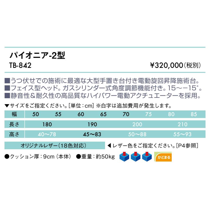 高田ベッド製作所 高田ベッド パイオニア−2型 TB-842 マッサージベッド 施術 整体 昇降 治療用 医療用 診察台 : エンバシー 高田 ...