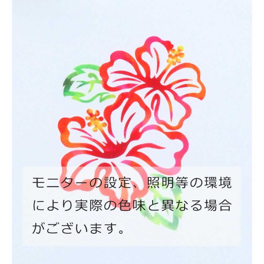 フラダンス ドライTシャツ [M/L] ハイビスカス ホワイト 吸水速乾 UVカット plt001 : emika - 通販 - Yahoo!ショッピング