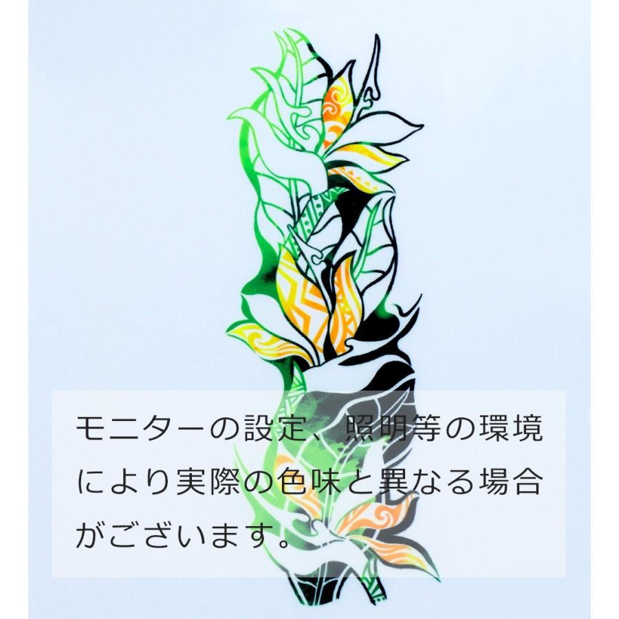 フラダンス ドライTシャツ [M/L] ストレリチア ホワイト 吸水速乾 UVカット plt003 : emika - 通販 - Yahoo!ショッピング