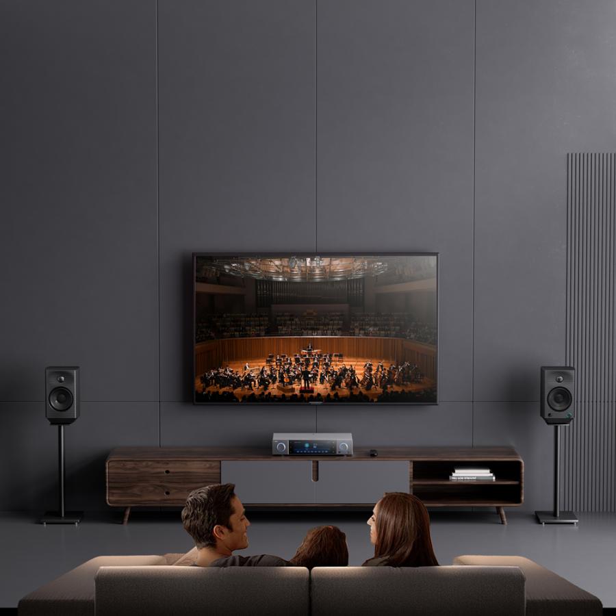 FiiO FIIO S15 Black Silver FIO-S15-B FIO-S15-S オーディオストリーマー Qualcomm Snapdragon 660 : Emilai ...