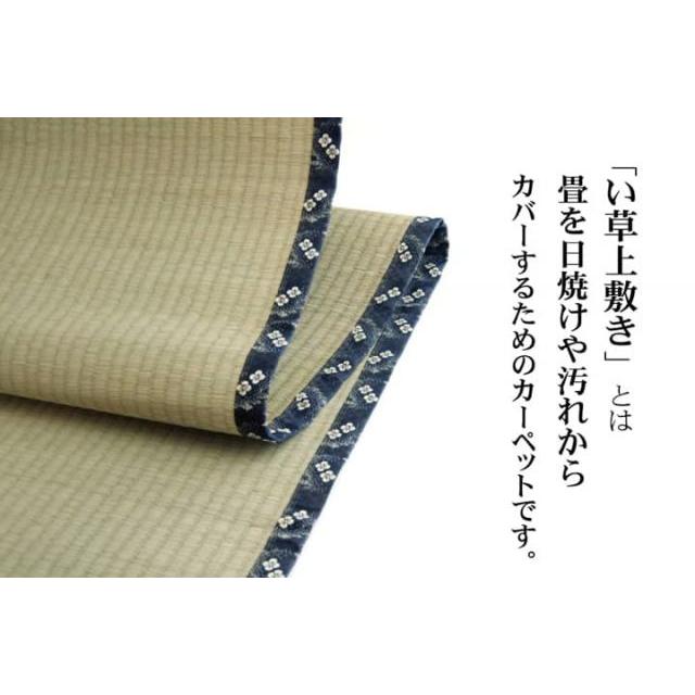 純国産 い草 上敷き カーペット 糸引織 『梅花』 江戸間8畳(約352×352cm） : エンペラーマート Yahoo!店 - 通販 - Yahoo!ショッピング