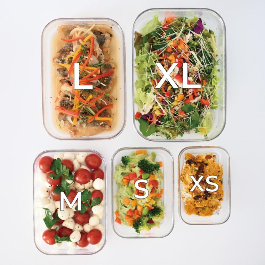 エンバランス クリアコンテナ XS 380ml 鮮度 保持容器 食洗機対応 冷凍OK BPA FREE プラスチック 保存 新鮮 エンバランス容器 鮮度保持容器 食品 : イーエムテックフクダ ...