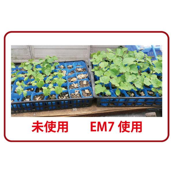植物活力剤 EM7 500ml 有機JAS適合資材 送料無料 em7 EM EM生活 イーエムセブン 微生物 栽培 野菜 水質 土作り 活性液 ...
