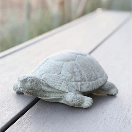 ヌオート・タートル（QE-13） : 園芸ネット - 通販 - Yahoo!ショッピング