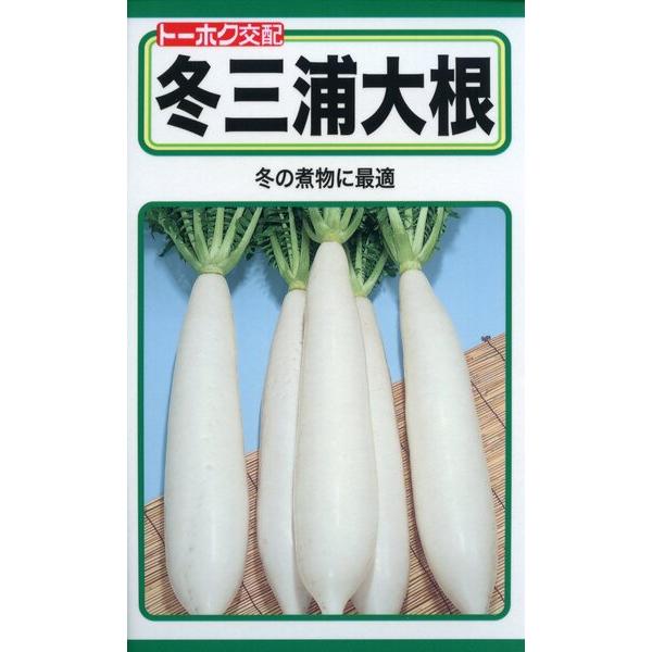 ダイコンの種 F1 冬三浦大根 7ml 品番7970 種子 たね : 園芸商人 - 通販 - Yahoo!ショッピング