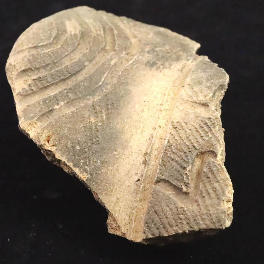 縄文土器 縄文中期 東北・北海道地域 85mm陶片 58.7g 【榎本通商71288】 : 榎本通商 - 通販 - Yahoo!ショッピング