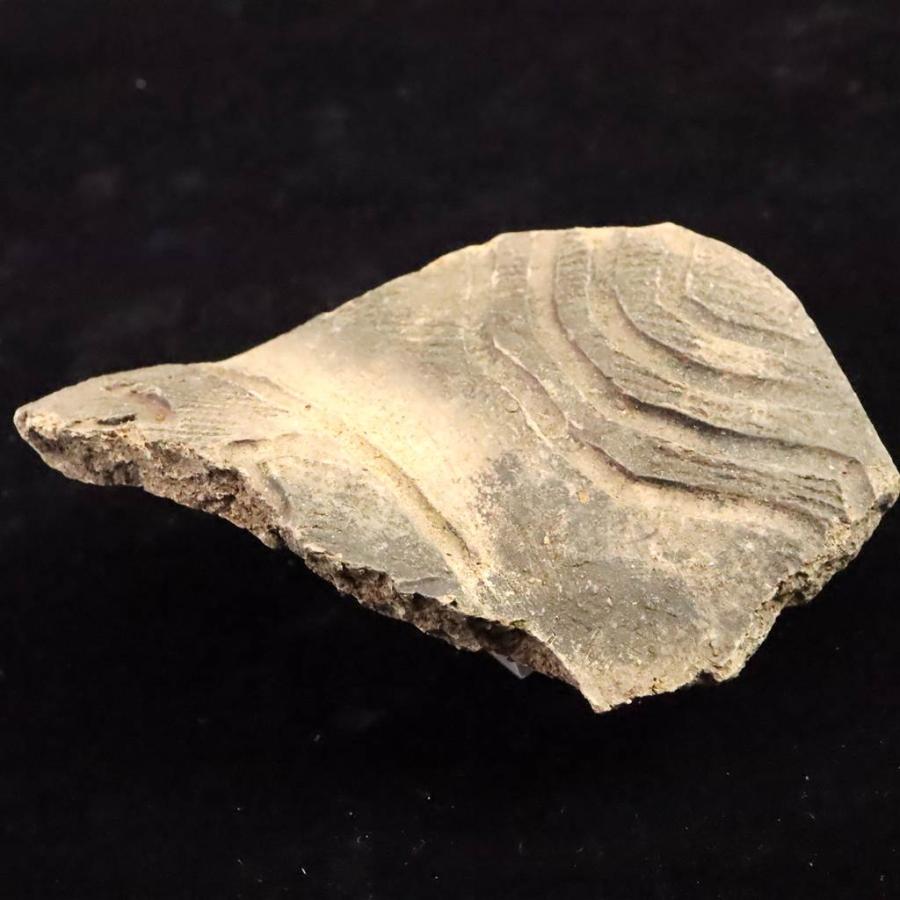 縄文土器 縄文中期 東北・北海道地域 85mm陶片 58.7g 【榎本通商71288】 : 榎本通商 - 通販 - Yahoo!ショッピング