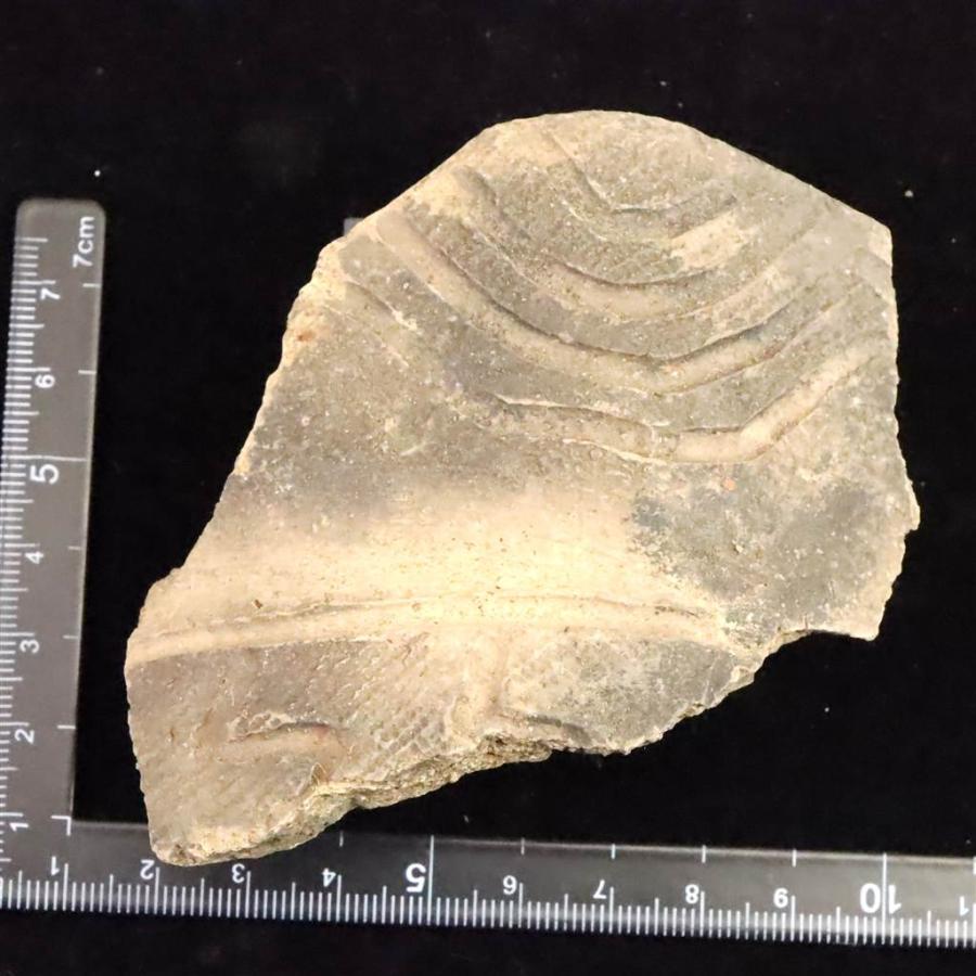 縄文土器 縄文中期 東北・北海道地域 85mm陶片 58.7g 【榎本通商71288】 : 榎本通商 - 通販 - Yahoo!ショッピング