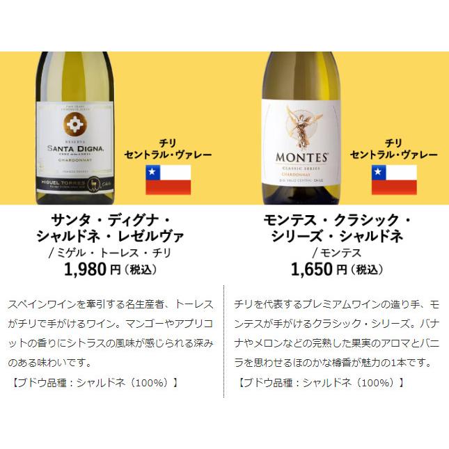 ワイン ワインセット エノテカ売れ筋！厳選バラエティー10本セット PP9-1 [750ml x 10] 送料無料 (890910PP4AC3) :enoteca-pp:ワイン通販エノテカ ...