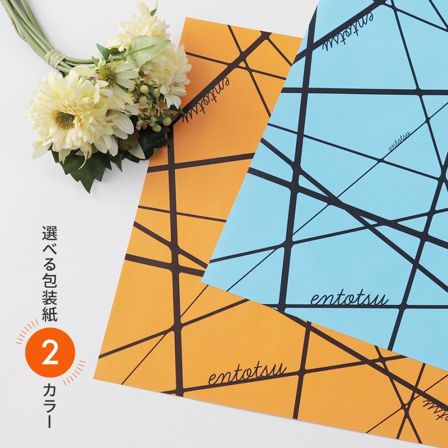 ワンドリップポテ ブラック 木蓋セット one drip pote ハンドドリップ ドリップ ポット コーヒー 珈琲 :fo-4560380462523set:entotsu - 通販 ...