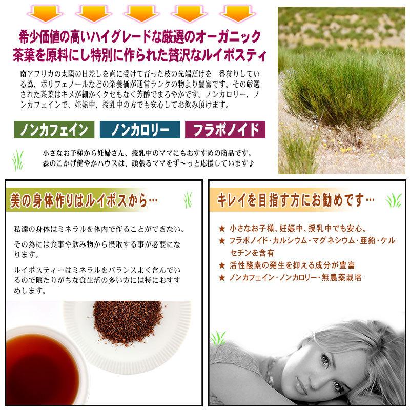 森のこかげ T ルイボスティー 2g×100p 特別限定パック オーガニック原料使用 (残留農薬検査済) 北海道 沖縄 離島も無料配送可 売れ筋 売ルイ : いーぴこっとヤフーショップ ...