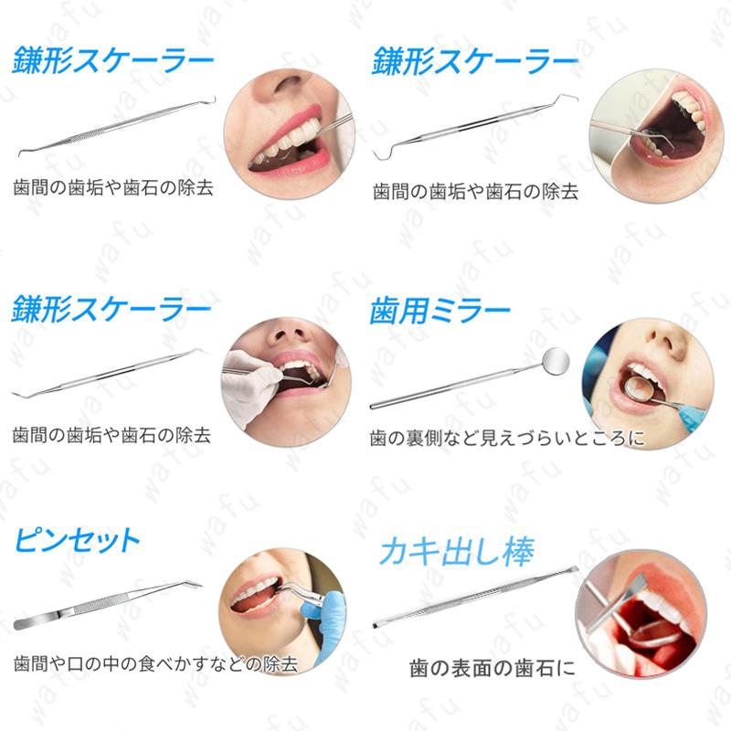 歯石取り器具 6本セット 日本国内当日発送 歯間 ヤニ 歯垢取り 口臭予防 歯石削り しこう取り 口腔ケアツール 歯用ツール デンタルツール #br22 : eririya - 通販 ...