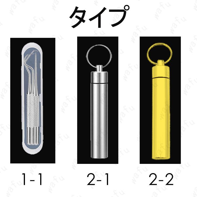 br45#3本セットケース付き ミニ 歯石取り器具 2type 歯用ツール 自宅用 デンタルツール ステンレス製 ヤニ 歯垢取り 口臭予防 歯石取り :br45:eririya - 通販 ...