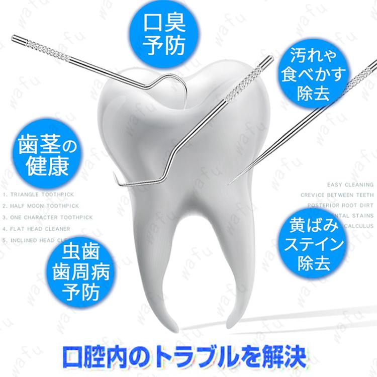 br45#3本セットケース付き ミニ 歯石取り器具 2type 歯用ツール 自宅用 デンタルツール ステンレス製 ヤニ 歯垢取り 口臭予防 歯石取り :br45:eririya - 通販 ...