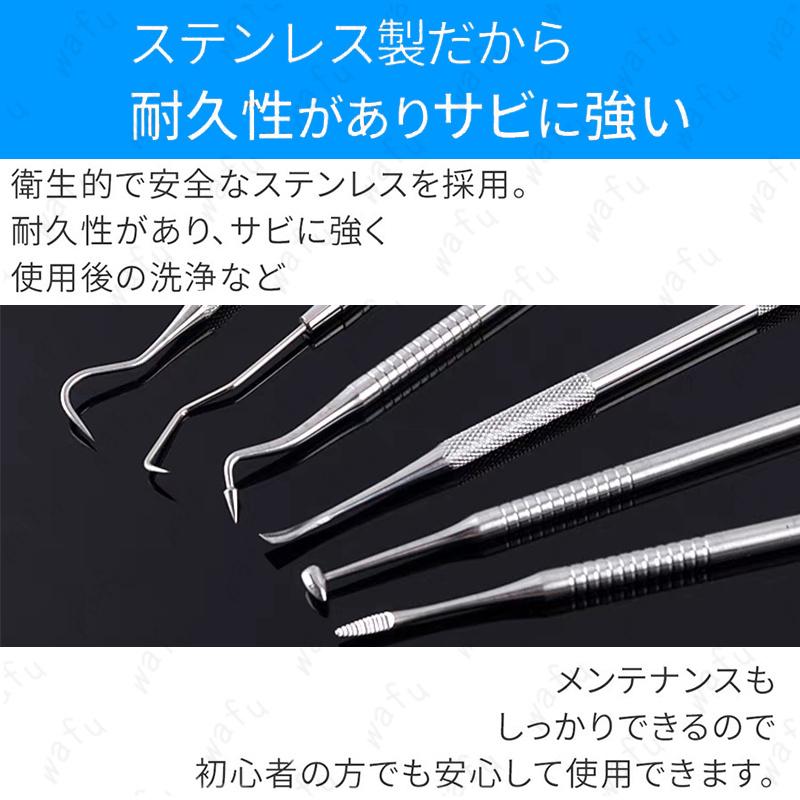 歯石取り 日本国内当日発送 豪華8本セット 歯科口腔清掃キット 歯石 歯の清掃ツール プラーク 茶汚れ 送料無料 男女兼用 プレゼント 専用ケース付き #br61 :br61:eririya ...