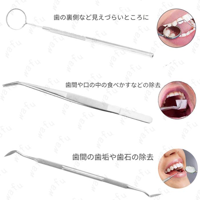 BR8#6本セット 歯科口腔清掃キット 日本国内当日発送 歯用ツール 歯石取り ステンレス 抗菌 ヤニ 歯垢 歯石削り セルルケア しこう取り 歯石除去 口腔ケアツール :BR8 ...