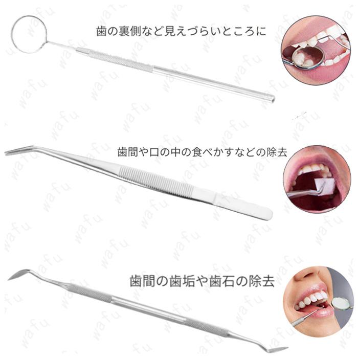 6本セット 歯科口腔清掃キット 日本国内当日発送 歯用ツール 歯石取り ステンレス 抗菌 ヤニ 歯垢 歯石削り セルルケア しこう取り 歯石除去 #BR8 : eririya - 通販 ...