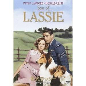 名犬ラッシー／ラッシーの息子 【DVD】 :10720811:ハピネット・オンラインYahoo!ショッピング店 - 通販 - Yahoo!ショッピング
