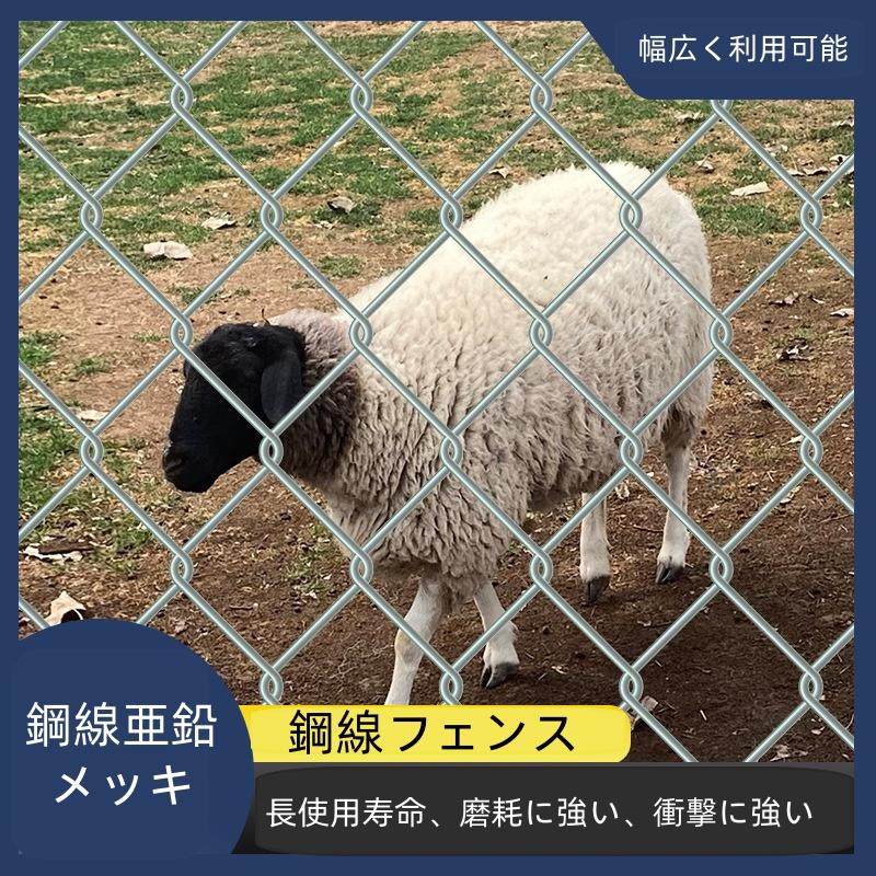 鋼線亜鉛メッキ 鋼線フェンス テニス練習場フエンス 運動場フェンス 保護ネット 繁殖ネット 動物園フエンス 穴6CM 高1.8M*長30M : さくらや - 通販 - Yahoo!ショッピング