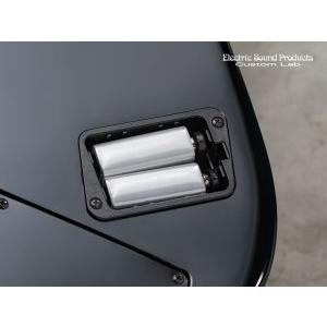 ESP Battry Box EBB-02 : ESP-BIGBOSSヤフー店 - 通販 - Yahoo!ショッピング