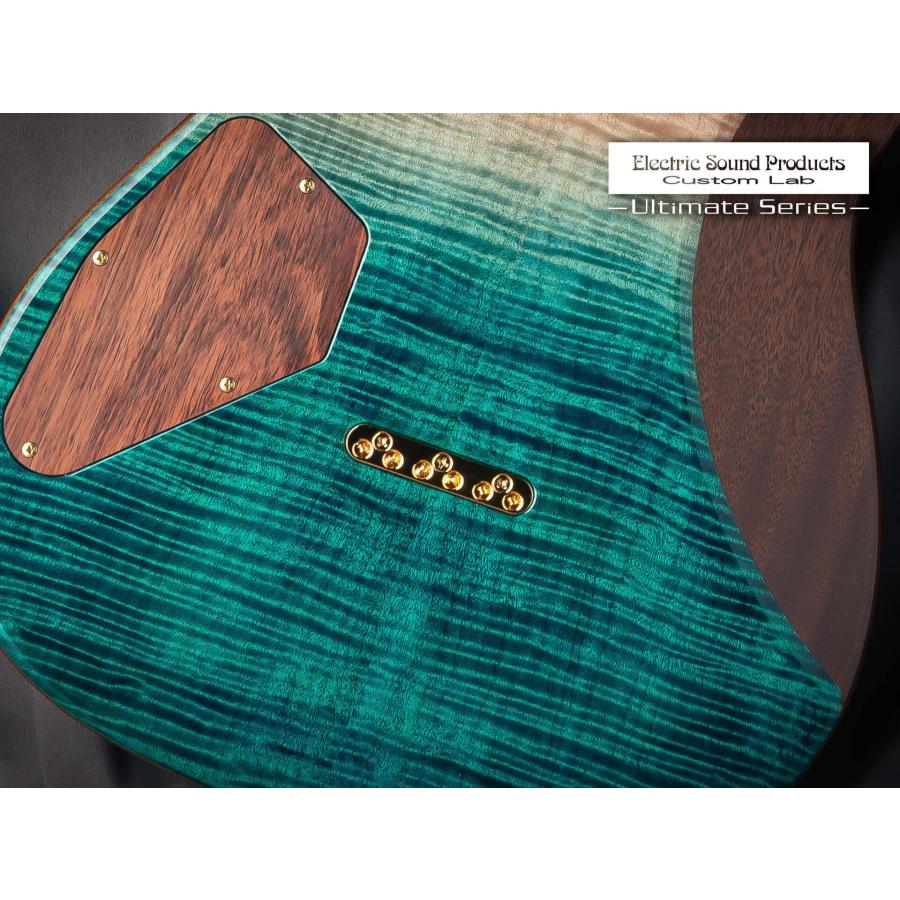 ESP String Back Plate 6 Chrome : ESP-BIGBOSSヤフー店 - 通販 - Yahoo!ショッピング