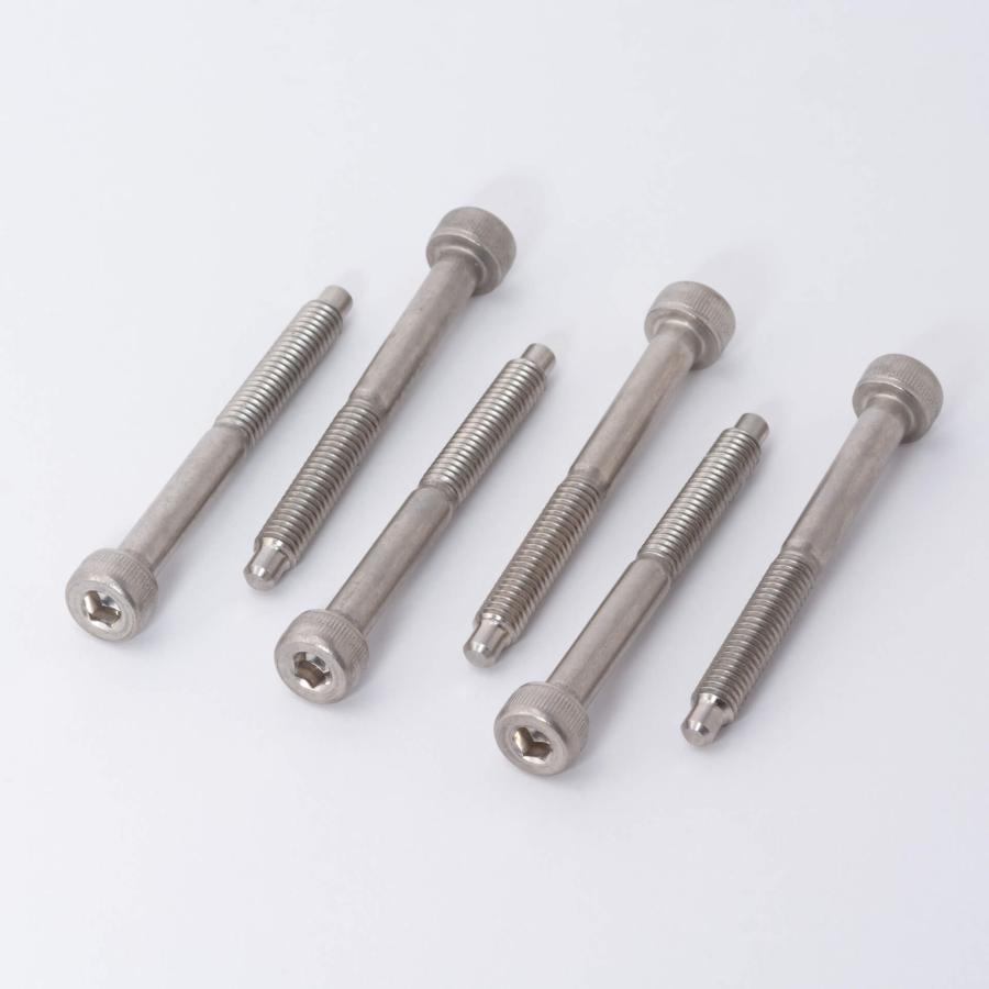 Stainless String Lock Screws (Set of 6)【正規輸入品】 : ESP-BIGBOSSヤフー店 - 通販 ...