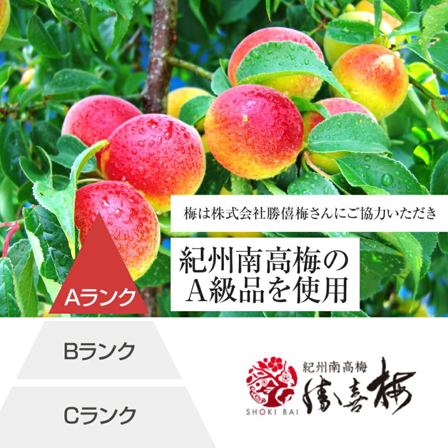 BeeMe マヌカハニーの梅干し112g塩分10％マヌカハニーNZ産はちみつ梅干し梅干紀州南高梅小分けパック : マヌカハニー専門店BeeMe ヤフー店 - 通販 - Yahoo!ショッピング