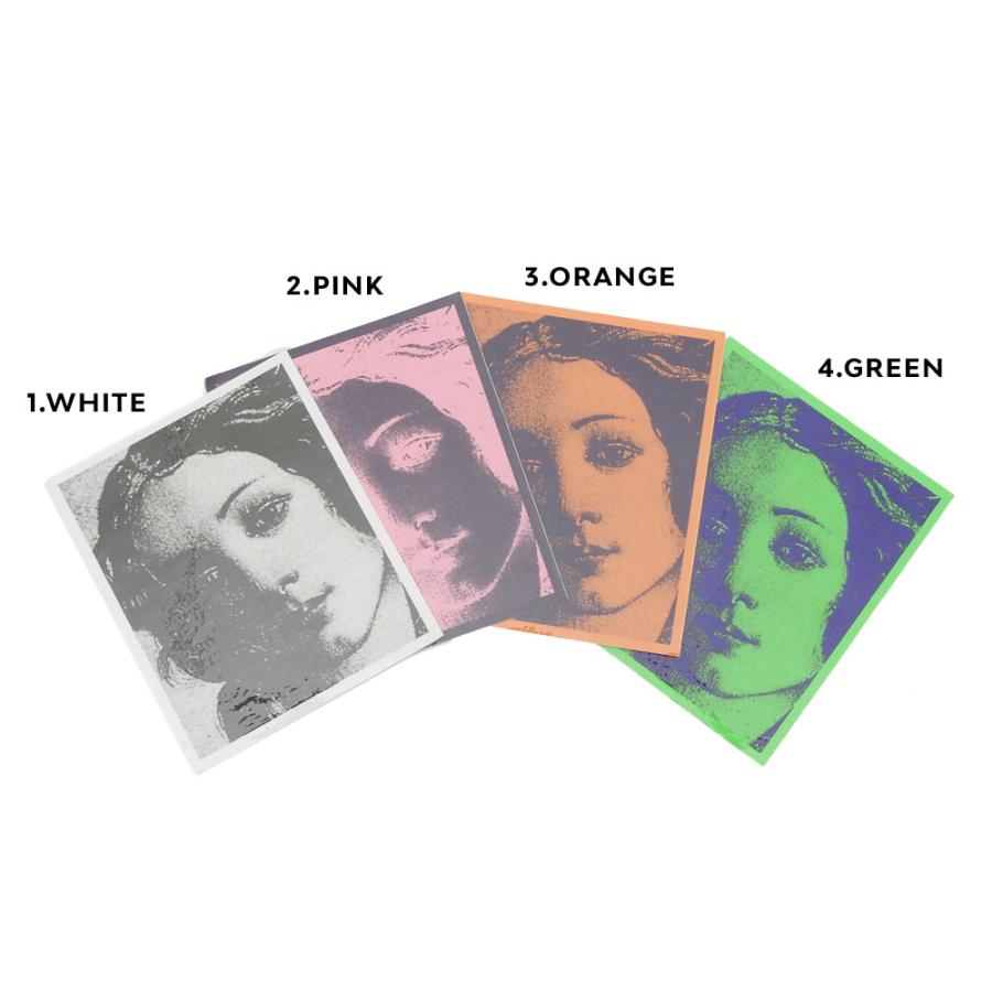 STUSSY 新品 ステューシー VENUS STICKER ステッカー スケート ストリート エイトボール ストックロゴ ストゥーシー ...