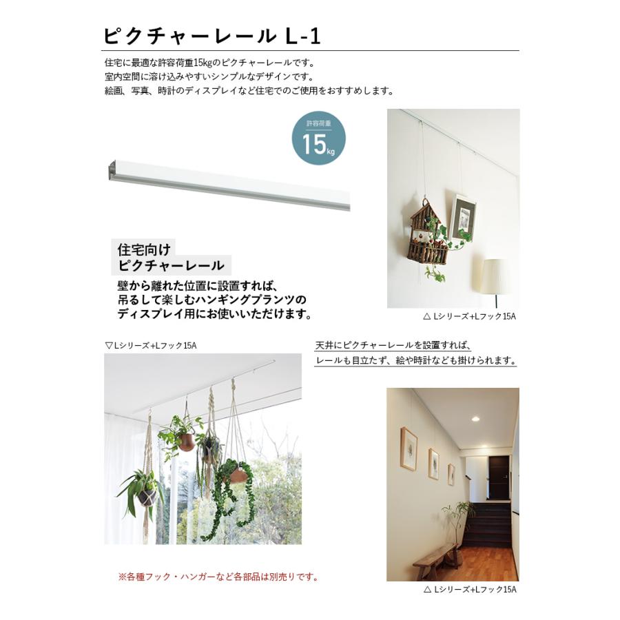 TOSO ピクチャーレール L-1 レール・キャップ ネジ穴あり 「後付用」 許容荷重：15kg サイズ：1.00 / 2.00m カラー：ホワイト : インテリアのE-start - 通販 ...