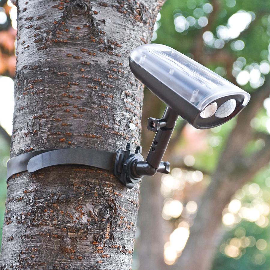 イーサプライ センサーライト 人感センサー 屋外 led ソーラー 防犯 充電式 柱 ポール取り付け フェンス EEX-LEDSR02 : イーサプライ ヤフー店 - 通販 - Yahoo ...