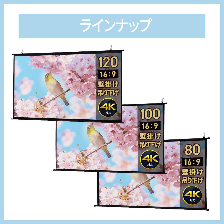 イーサプライ プロジェクタースクリーン 120インチ ワイド イーサプライ プロジェクタースクリーン 120インチ ワイド