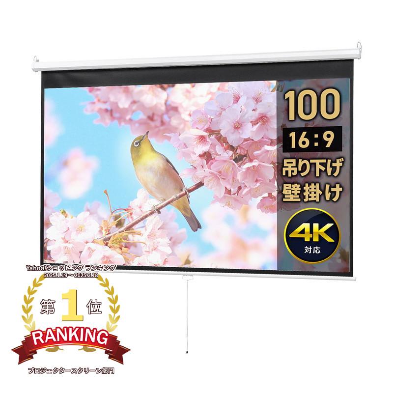 イーサプライ プロジェクタースクリーン 100インチ 16:9 吊り イーサプライ プロジェクタースクリーン 100インチ 16:9 吊り
