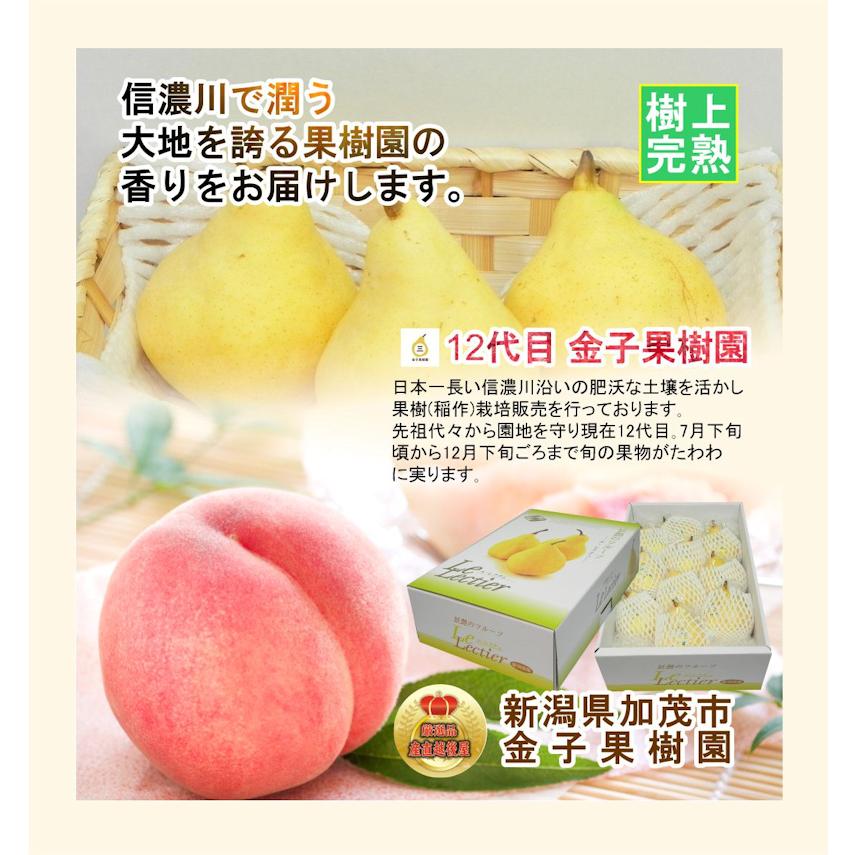 フルーツ 和梨 あきづき梨 送料無料 新潟県 加茂市 金子果樹園 新潟の樹上完熟梨 あきづき梨 3kg（5〜8個) 厳選した梨 化粧箱入り :kaneko-aki3:産直越後屋 - 通販 ...