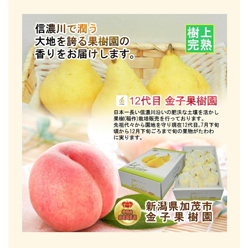 新潟県 加茂市 金子果樹園 新潟の樹上完熟梨 あきづき梨 3kg（5〜8個) 厳選した梨 化粧箱入り 送料無料【なし フルーツ 果実 贈答品 ギフト】 【お中元】 : 産直越後屋 - 通販 ...