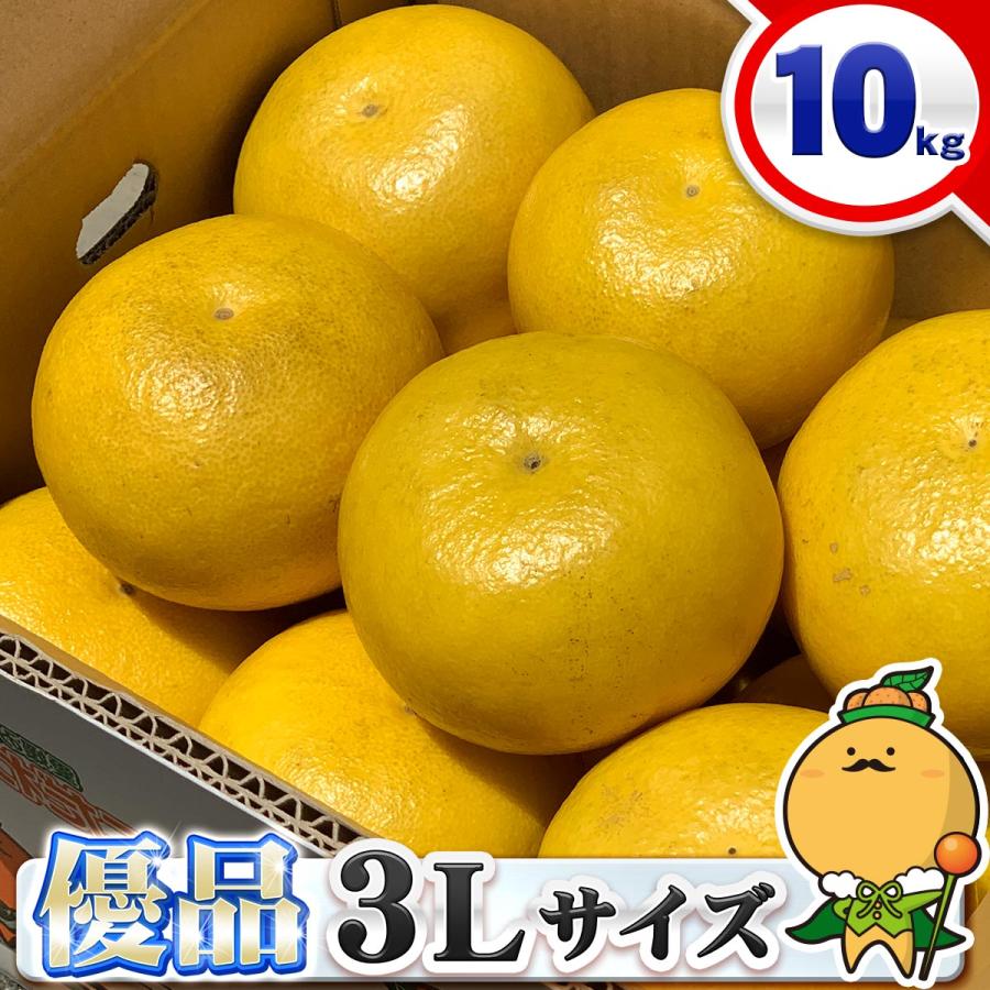 優品 土佐文旦 3Lサイズ 10kg 見た目の綺麗な優品 愛媛県 愛南町産 10kg ご家庭用 箱買い あいなん 土佐 文旦 とさ ぶんたん みかん : 愛媛みかんの こだわり王国 - 通販 ...