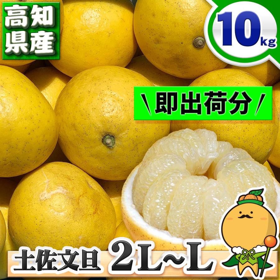 【早期出荷】高知県産 訳あり 土佐文旦 中玉 2L 〜 L サイズ 10kg 自宅用 ご家庭用 とさぶんたん 本場の 文旦 を 箱買い 愛媛 みかん の こだわり王国 10キロ : kbun ...