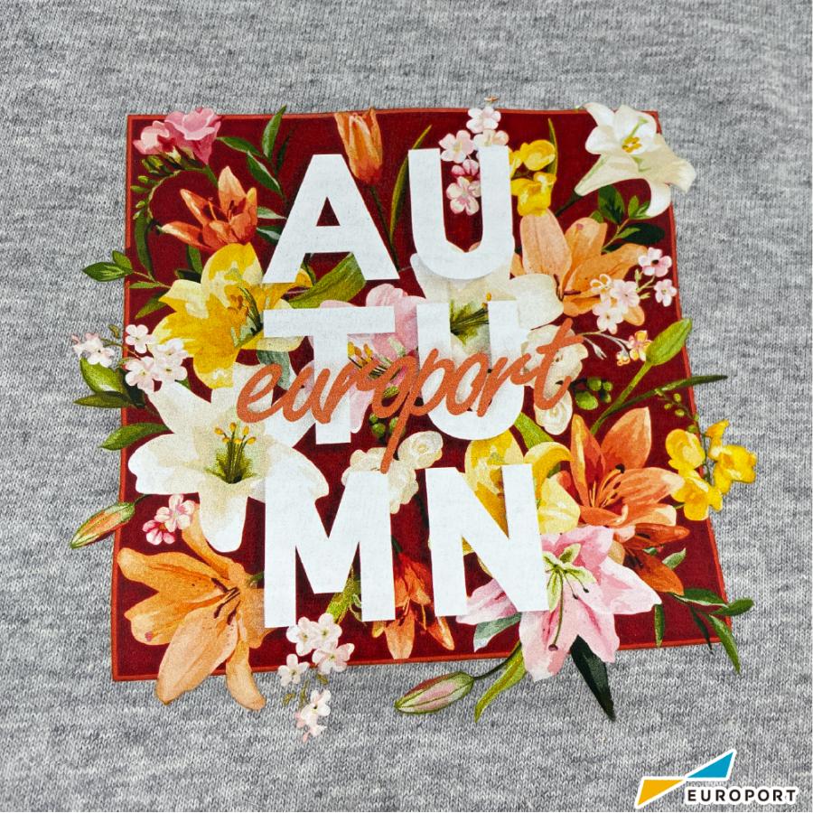 DTFサンプルキット12（PWD01/TF12） DTF-SMP-kit12 ガーメント | フィルム 転写フィルム ホットメルトパウダー ...